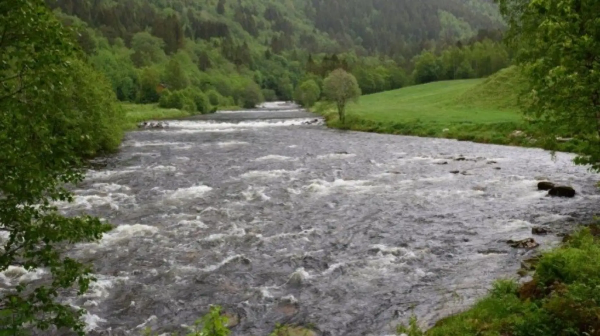 Toåa | Norske Lakseelver